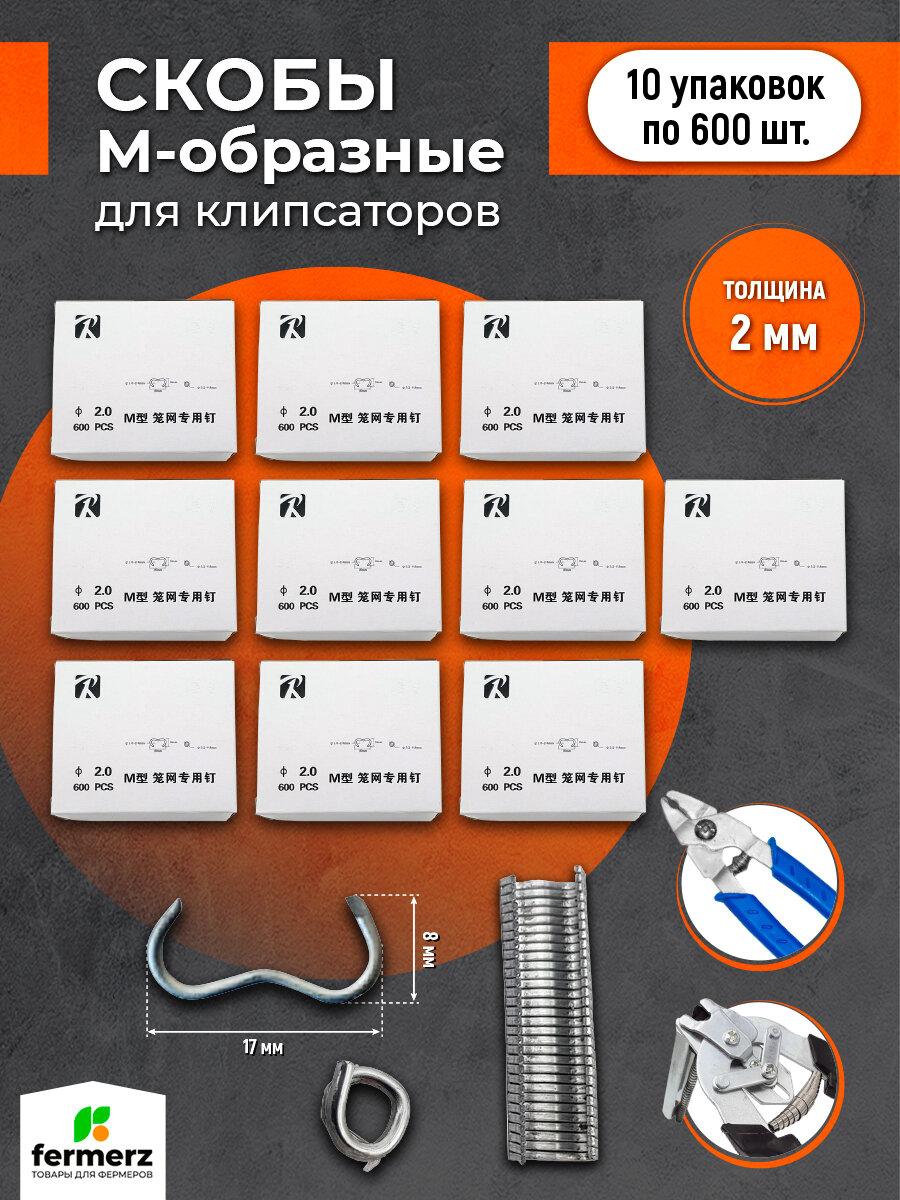 Коробка скоб для клипсатора 10 упаковки. Скобы для клипсатора для скрепления сетки, ремонта забора 6000 шт