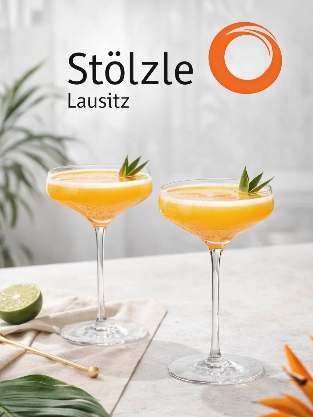 Набор бокалов блюдце, набор фужеров STOLZLE "Quatrophil" 2 шт, 300 мл. Коробка подходит для подарка. Хрустальное стекло. Германия