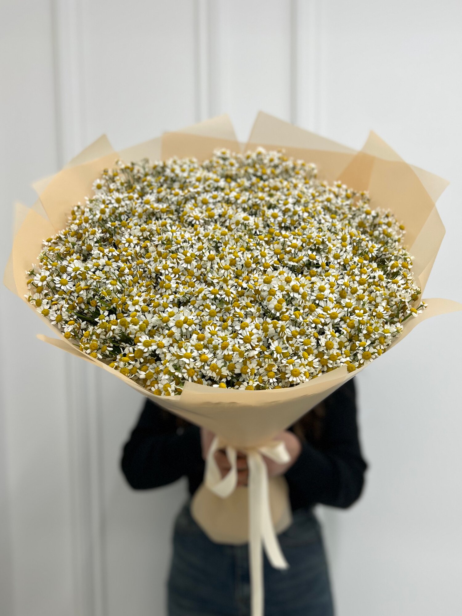Гламелия цветы 101 ромашки - танацетум упаковка персик – заказать с доставкой