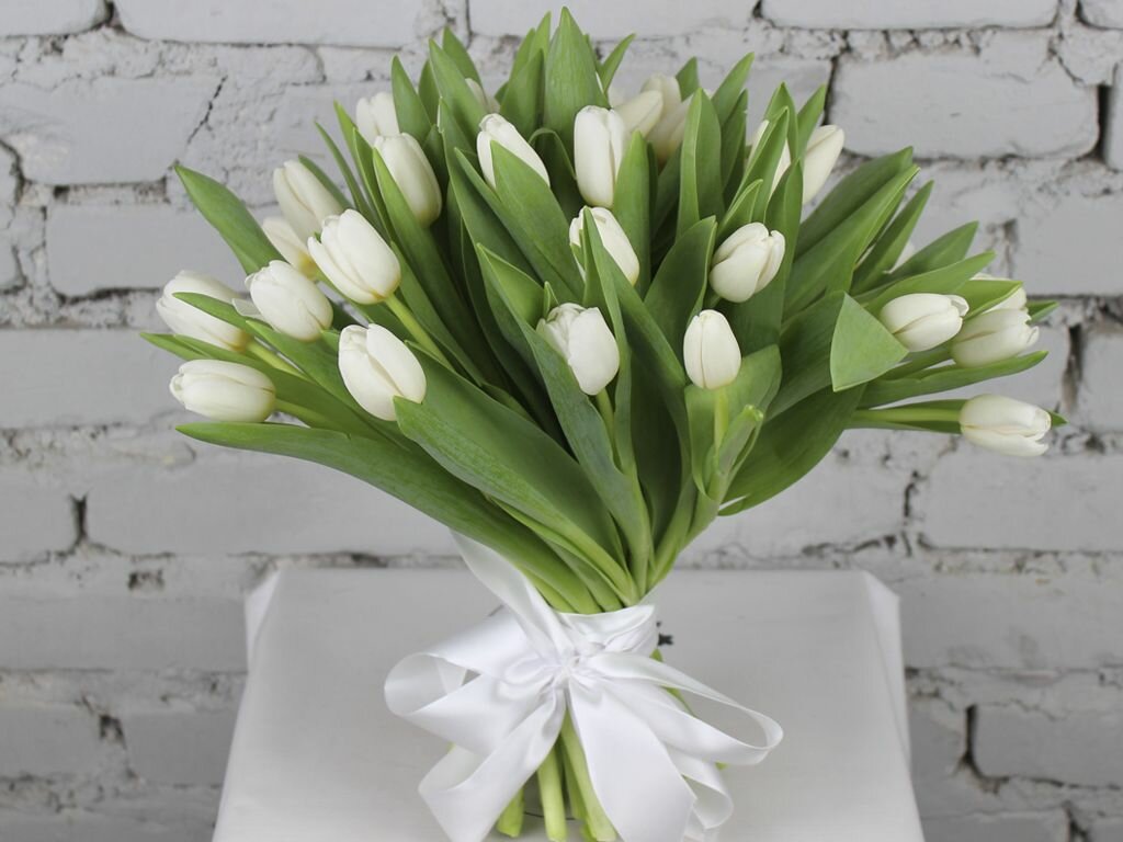 Букет 35 белых тюльпанов