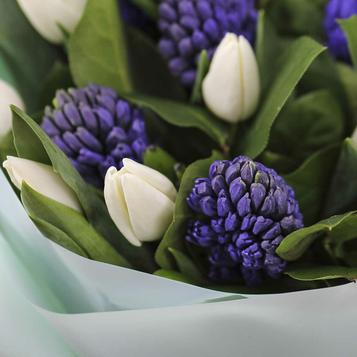 Цветы живые букет Flor-Pro Flowers из гиацинтов и тюльпанов "Соната любви Grand" — фото 1