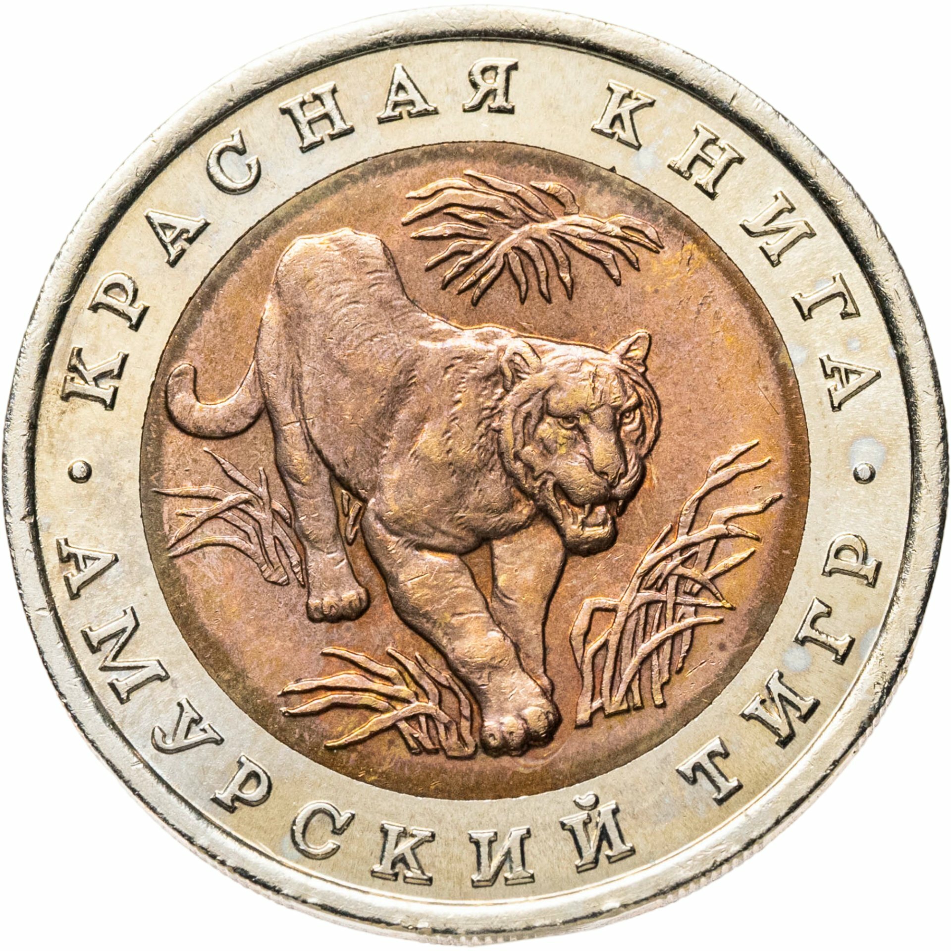 10 рублей 1992 ЛМД амурский тигр, Биметалл, в сохранности AU