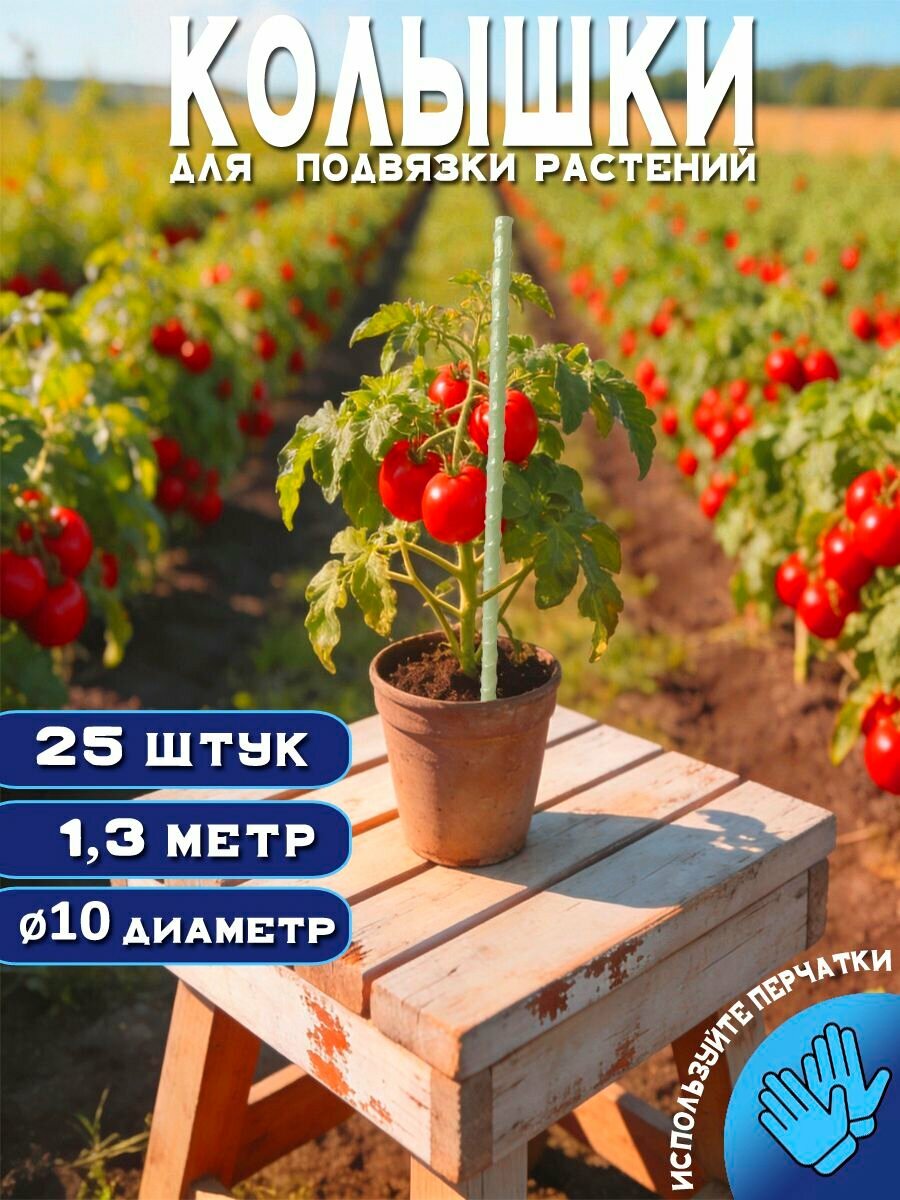 Колышки садовые для подвязывания растений, опора 10 мм, 1,3 м, 25 шт.