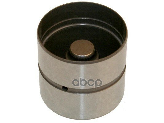 Гидрокомпенсатор! Citroen C2/C4, Peugeot 206/307/Partner 1.6i 16V TU5JP4 00> Ina арт. 420022010