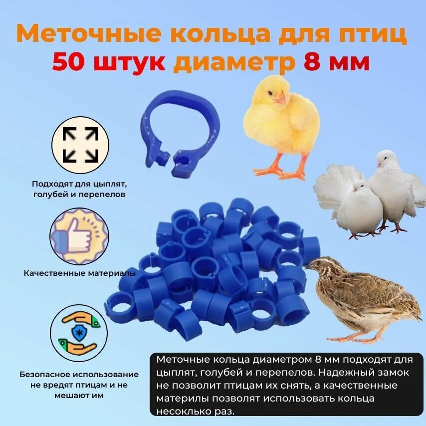 Кольцо для птицы