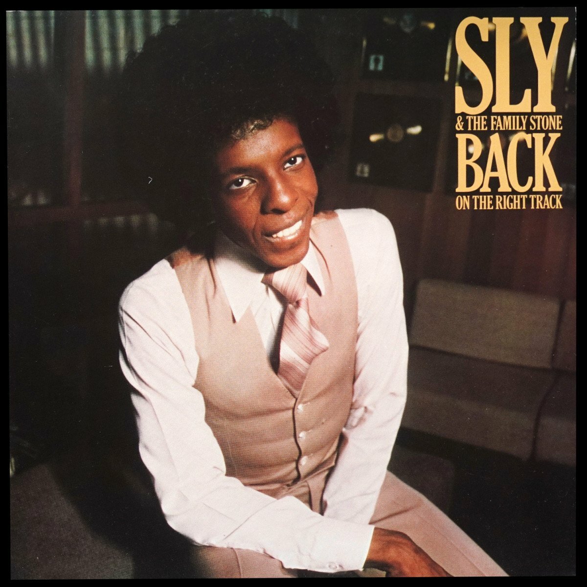 Виниловая пластинка Warner Sly & The Family Stone – Back On The Right Track
