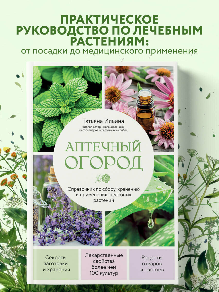Ильина Т. А. Аптечный огород. Справочник по сбору, хранению и применению целебных растений (новое оформление)