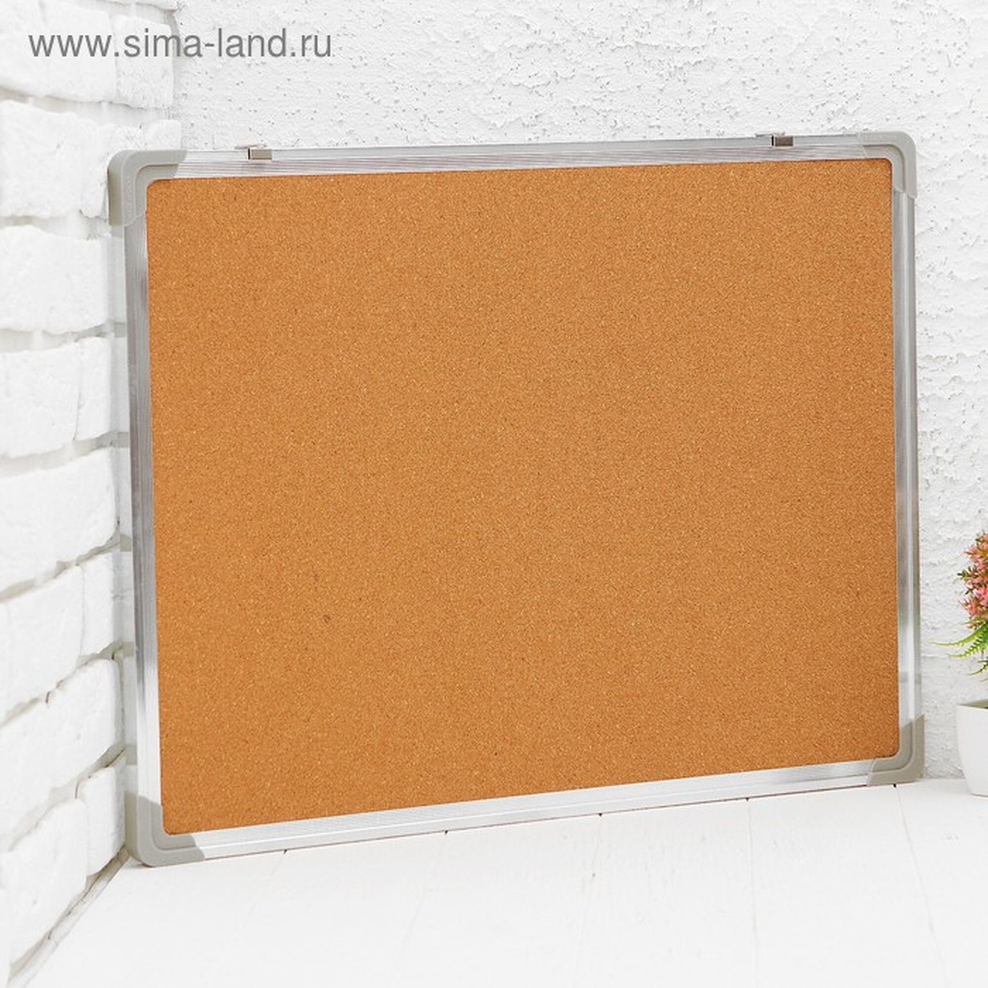 Доска двусторонняя, пробковая и магнитно-маркерная, 60*45 см.