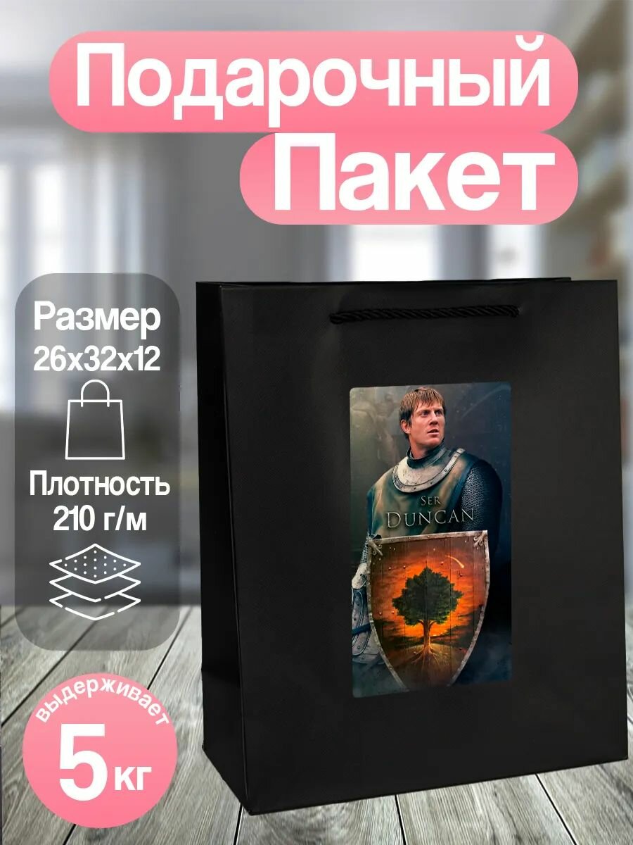 Пакет подарочный Рыцарь семи королевств, упаковка для подарка, 26х31 см