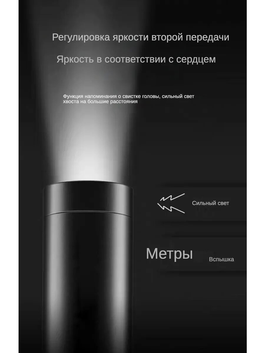 Многофункциональный электронный свисток