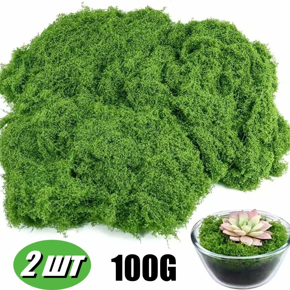 Стабилизированный мох Мох, 100 гр, 2 шт