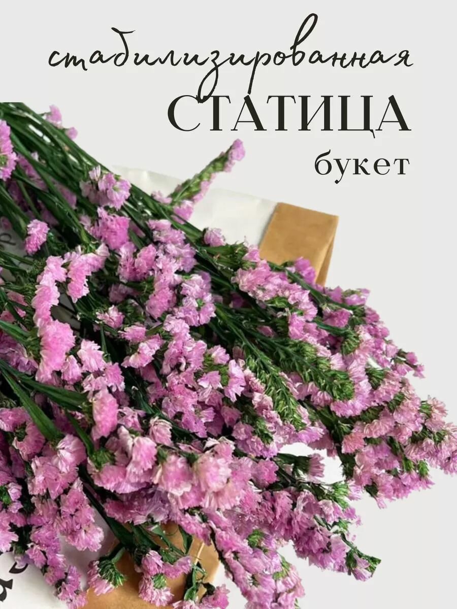 Сухоцветы для декора Стабилизированная статица, розовая