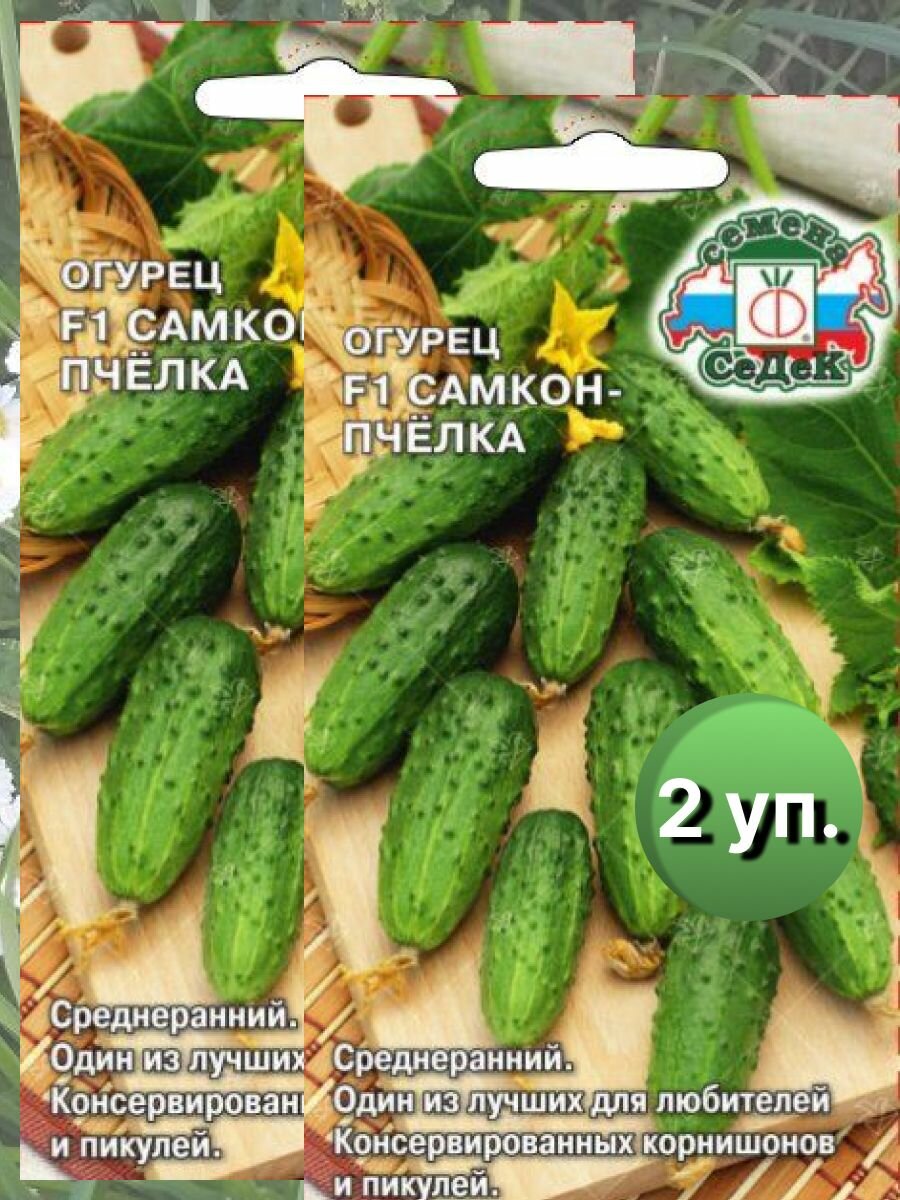 Семена огурца СеДеК "Самкон-Пчелка", универсального назначения, гибридный сорт, 2 упаковки