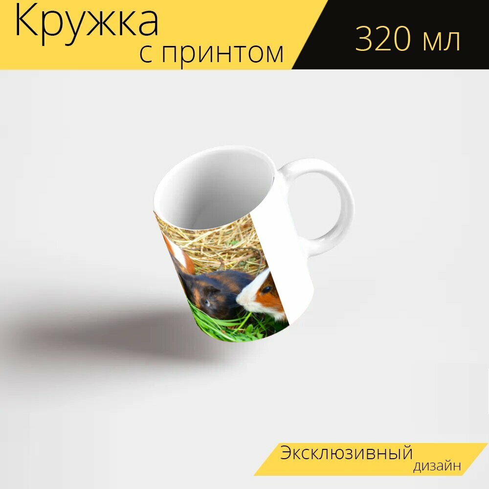 Кружка с рисунком, принтом "Домашние морские свинки, cavia porcellus, морская свинка" 320 мл.