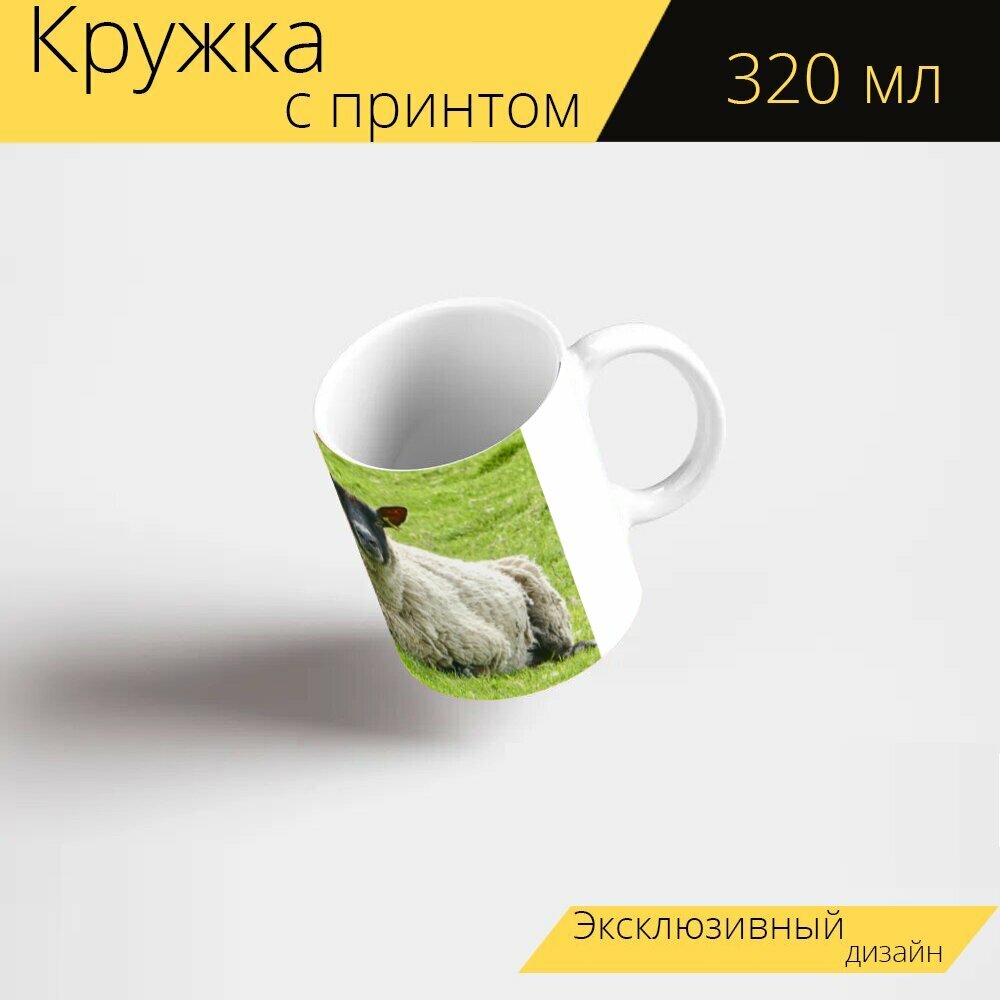 Кружка с рисунком, принтом "Овца, овец, ягненок" 320 мл.