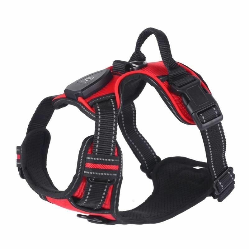 Светящаяся шлейка для собак с надежной застежкой, красный - S