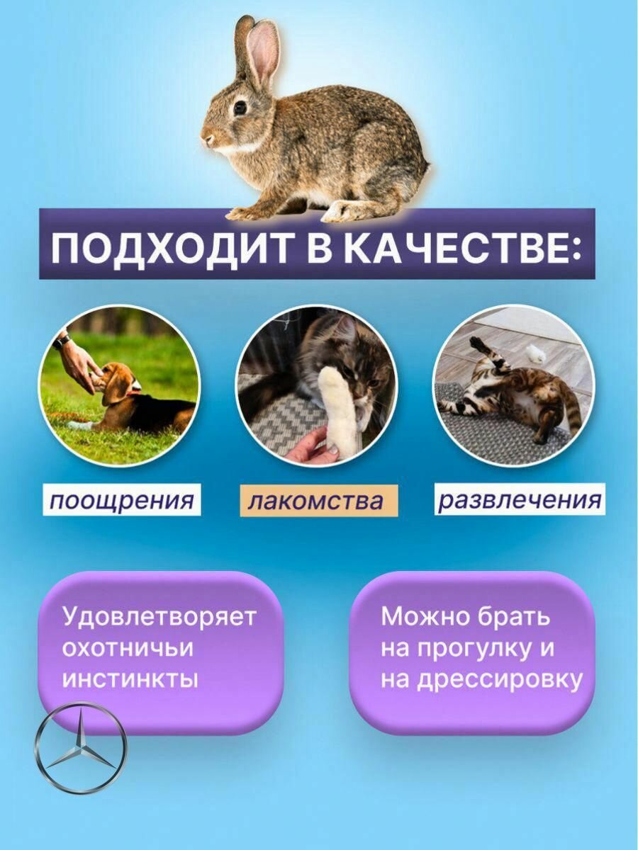 Игрушка для животных — фото 1