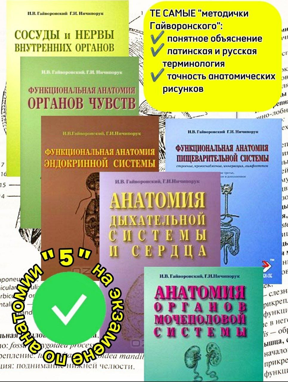 Анатомия человека. Комплект учебных материалов для подготовки к экзамену по анатомии. Спланхнология (анатомия внутренних органов) 6 "методичек"