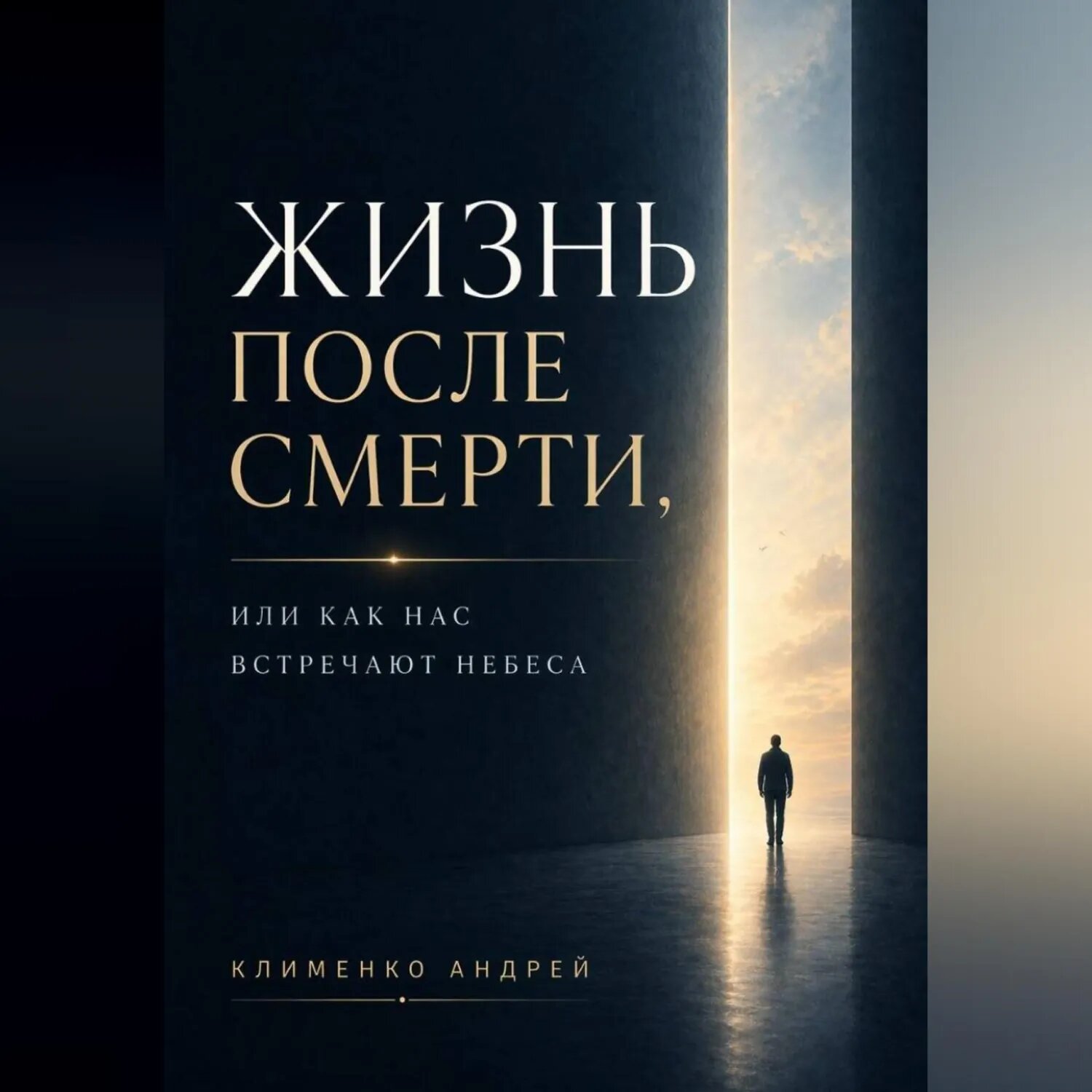 Жизнь после смерти [Аудиокнига]