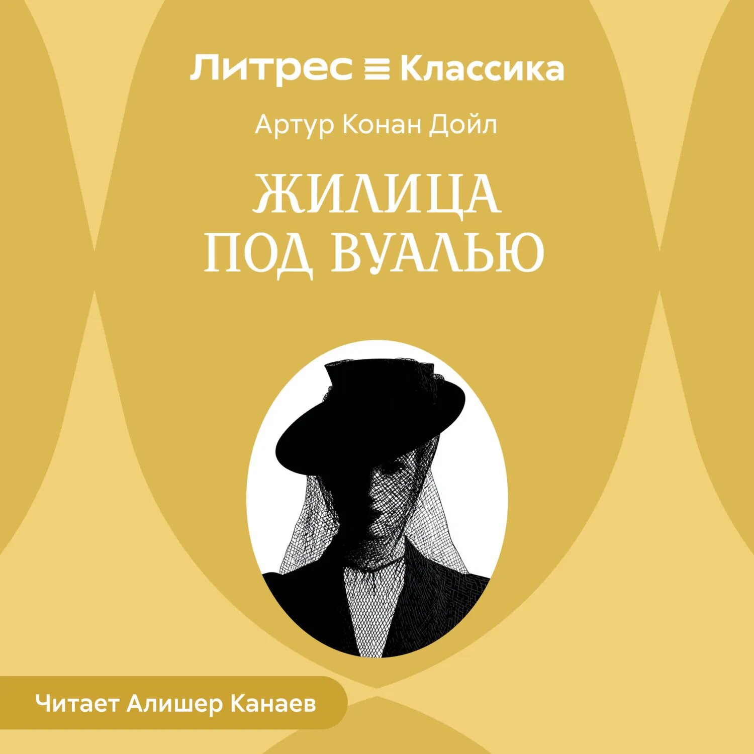 Жилица под вуалью [Аудиокнига]