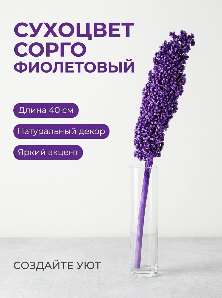 Сухоцвет Сорго, сиреневый, натуральный сухоцвет, для создания цветочных композиций и декора
