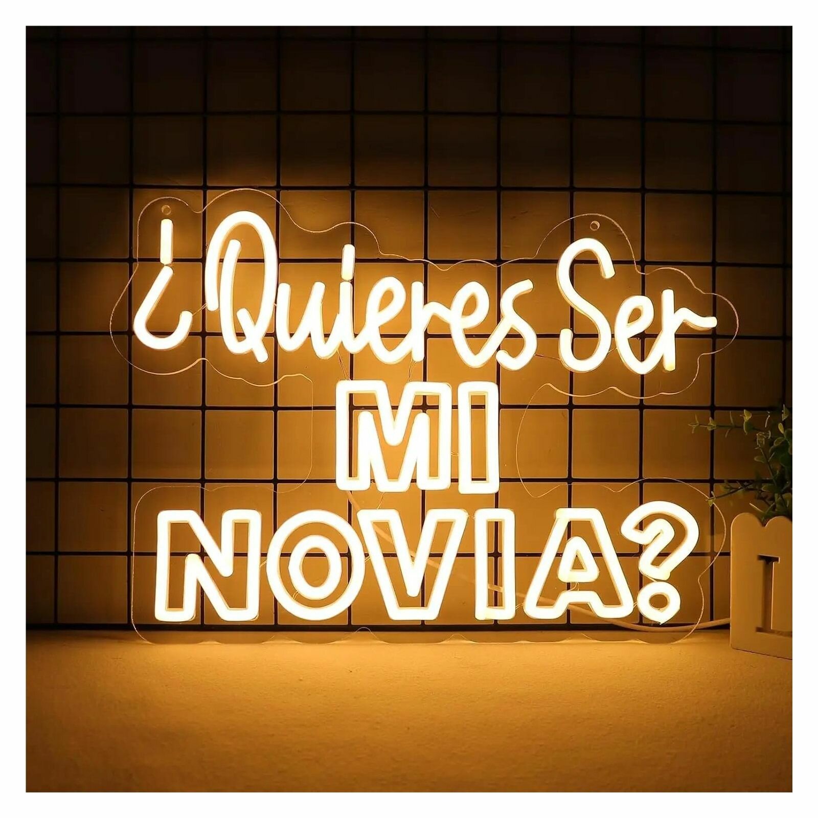 Quieras Ser Mi Novia Неоновая Вывеска 40смx29см