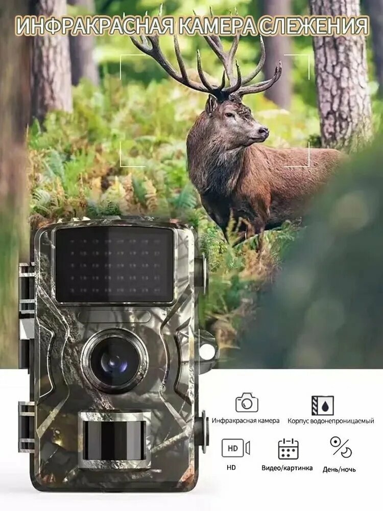 Фотоловушка