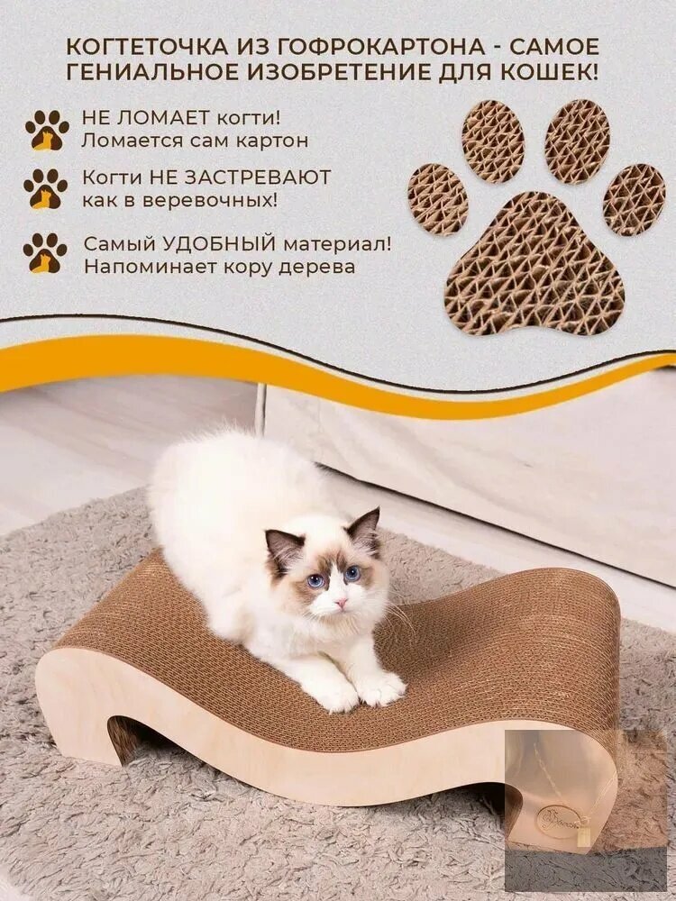 Когтеточка — фото 1