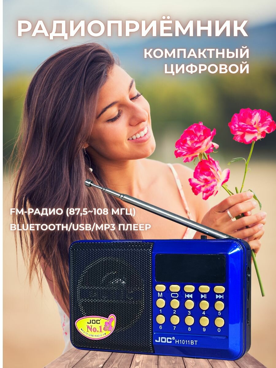 Цифровой Радиоприёмник 1011/Bluetooth/USB/mp3 плеер