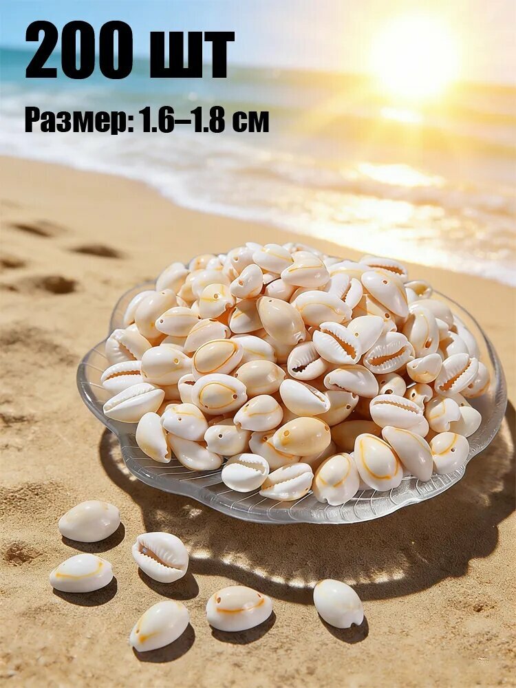 Ракушка Каури, Морские ракушки для декора и творчества, мини для эпоксидной смолы, свечей, поделок и интерьерного декора 50 шт.