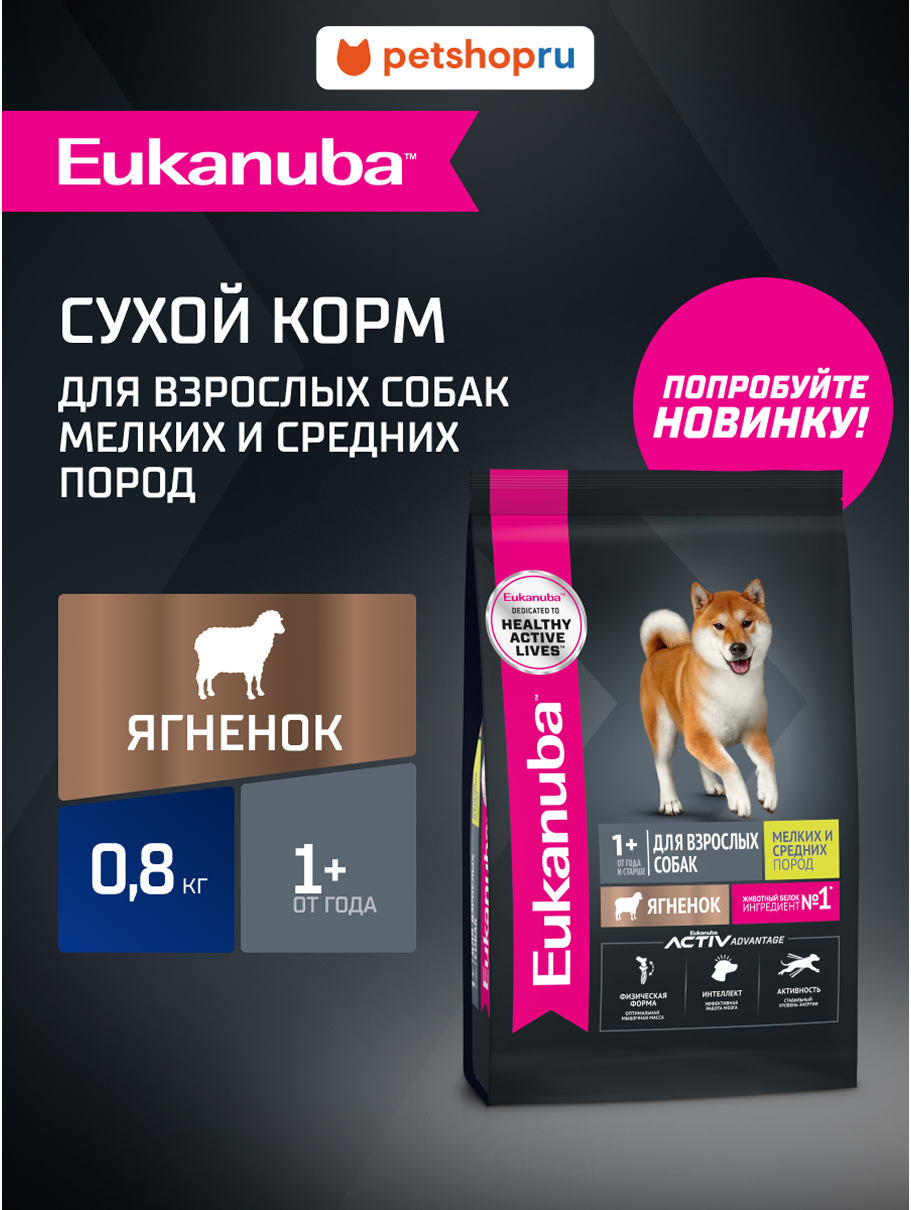 Eukanuba сухой полнорационный корм для взрослых собак мелких и средних пород старше 1 года с ягнёнком, Adult Lamb, 800 г