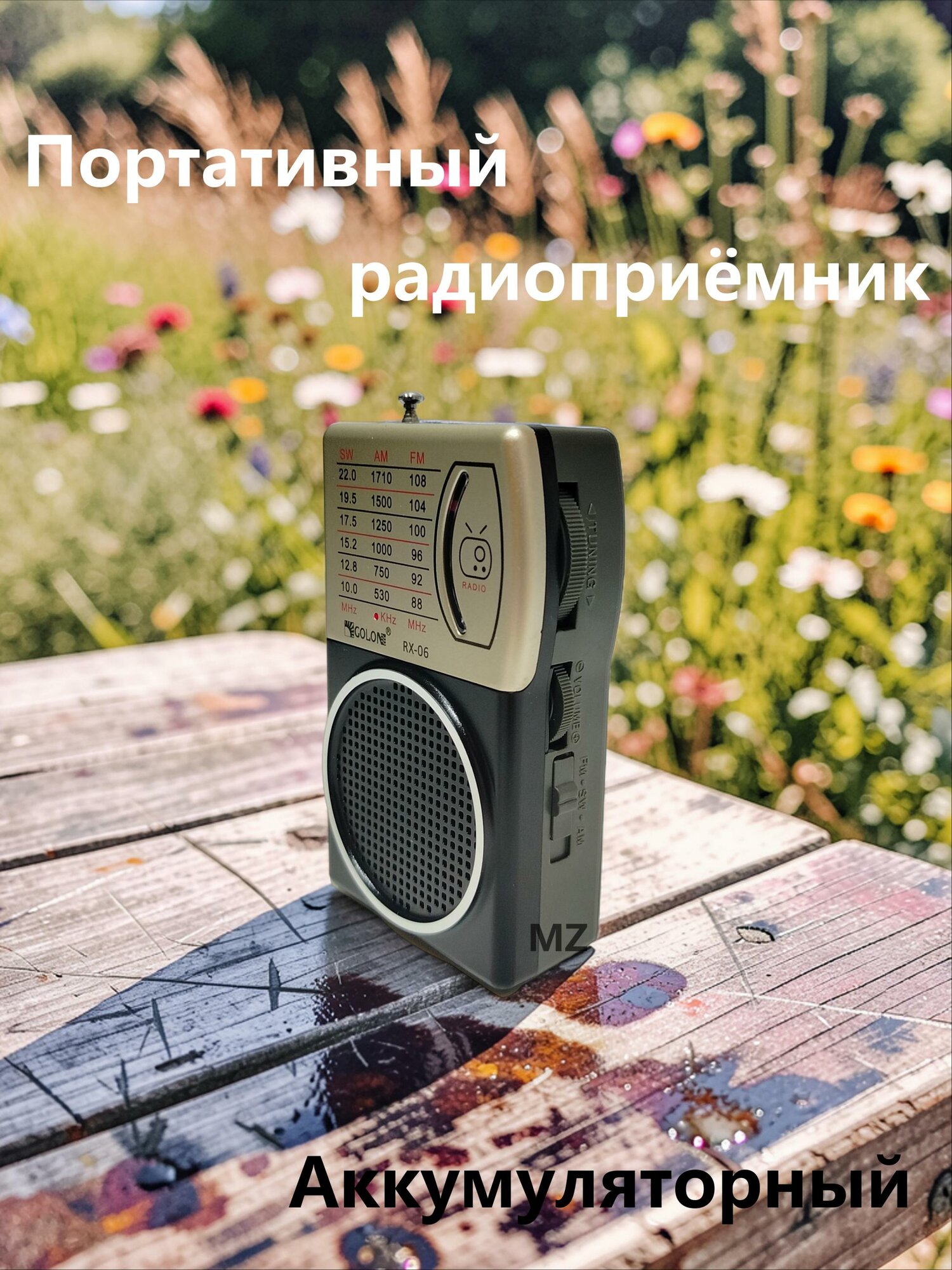 Радиоприемник портативный аккумуляторный FM/AM/SW RX-06 (черный)
