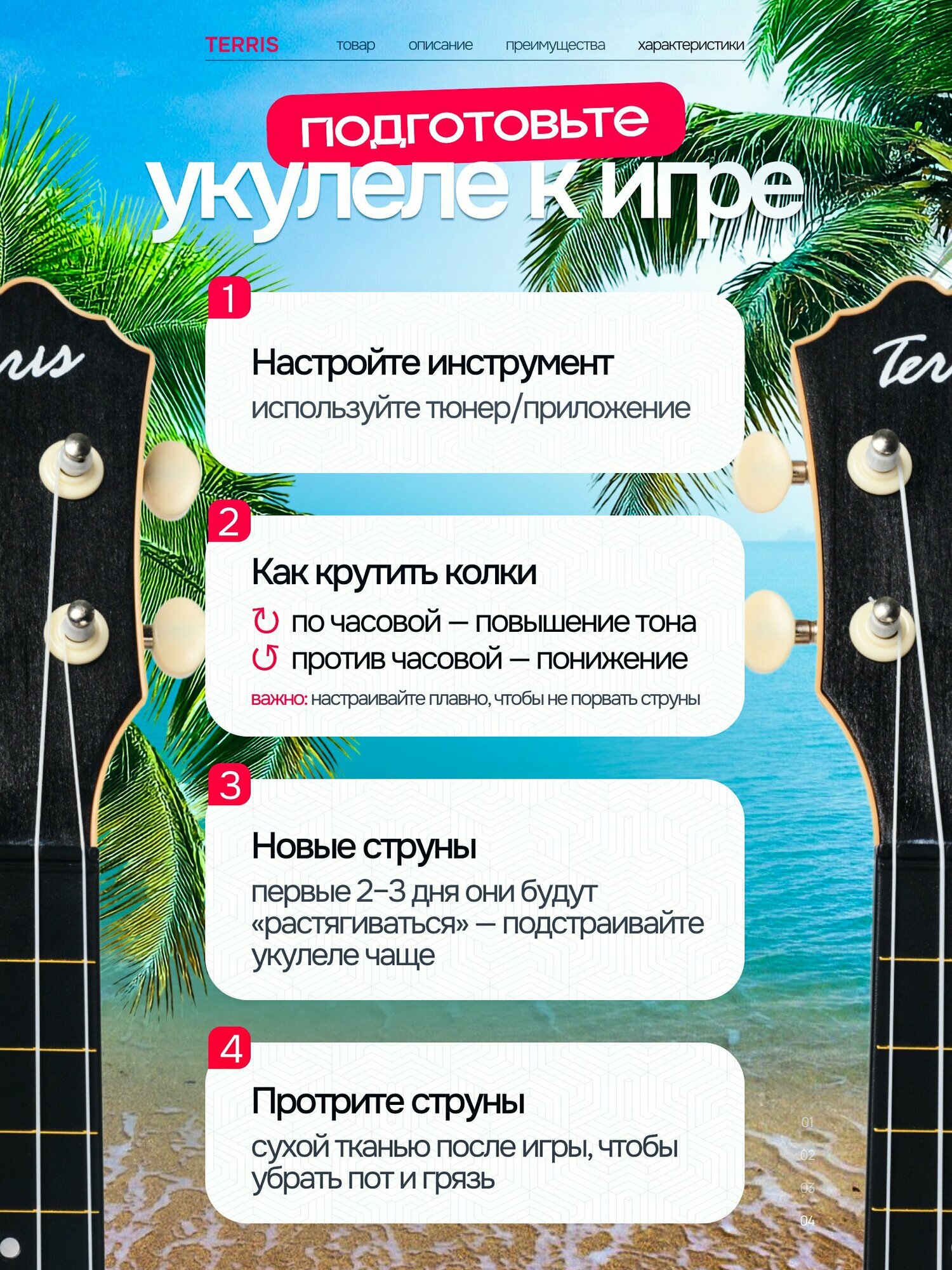 Укулеле сопрано TERRIS PLUS 50 BK: черное, липа/пластик, для начинающих — фото 1