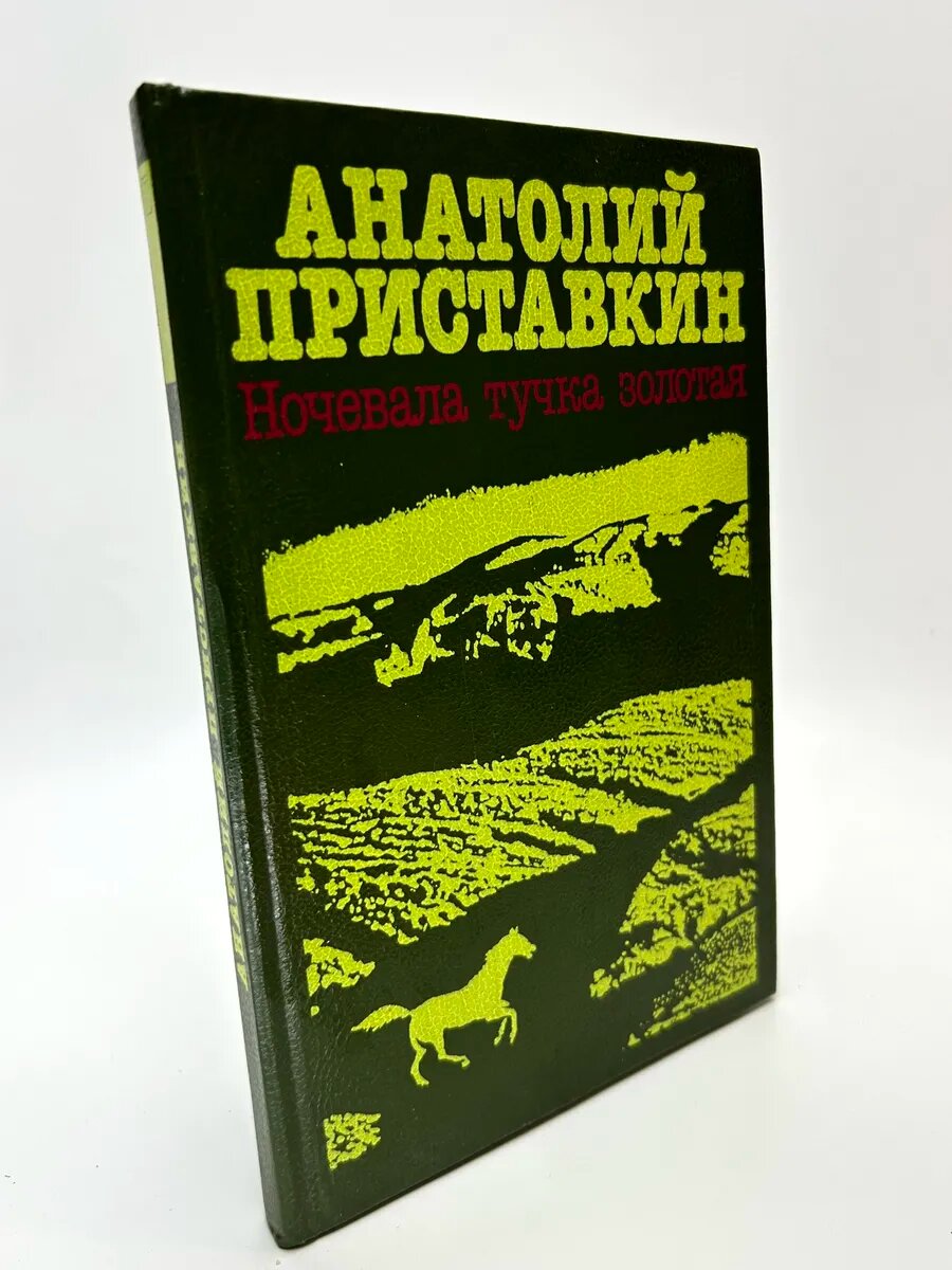 Анатолий Приставкин. Ночевала тучка золотая