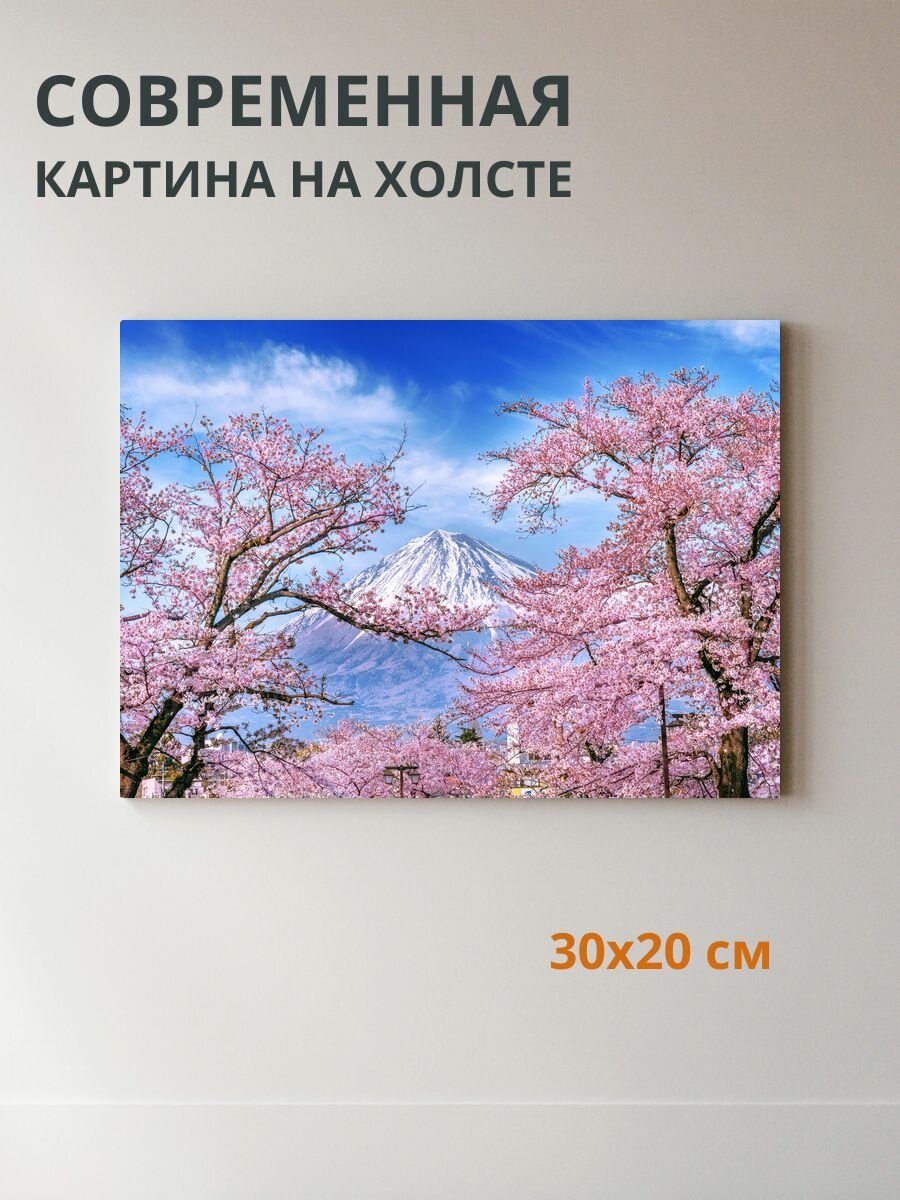 Картина на холсте Сакура и гора 30x20 см
