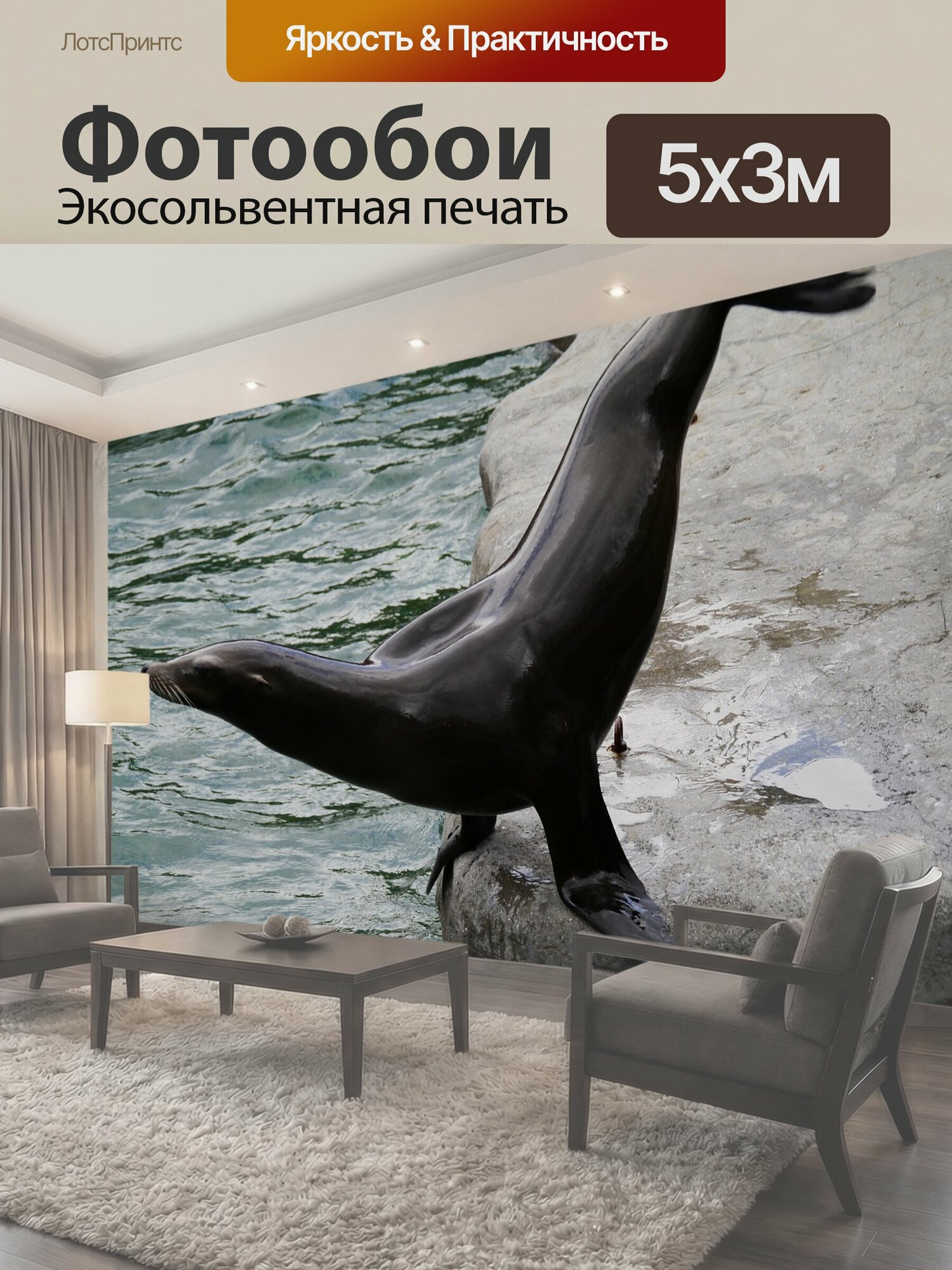 Фотообои "Морской лев, морские существа, водная жизнь" 500x300 см. экосольвентная печать