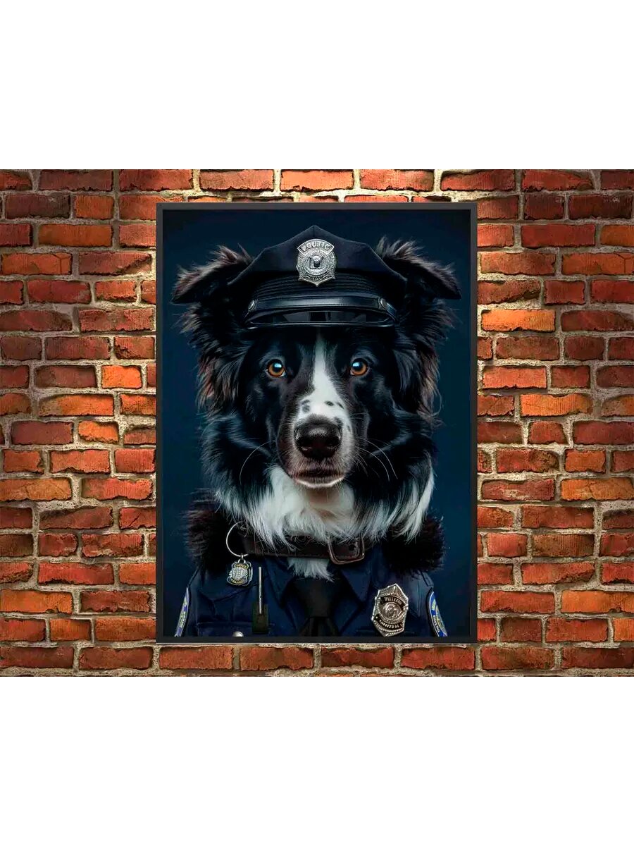 Бордер-колли, собака-полицейский 1, Плакат 30x42см