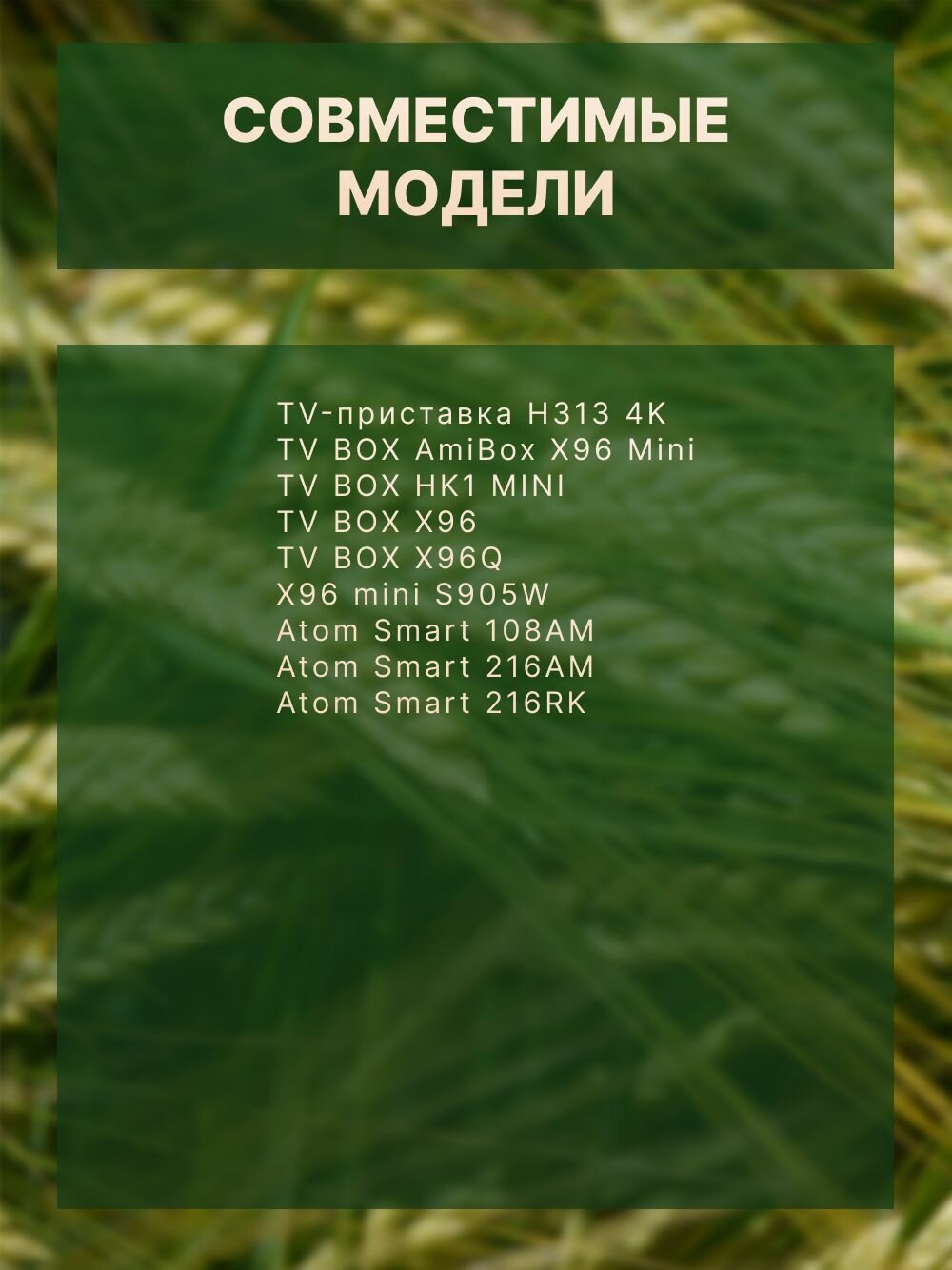 Пульт SMART BOX X96 mini — фото 1