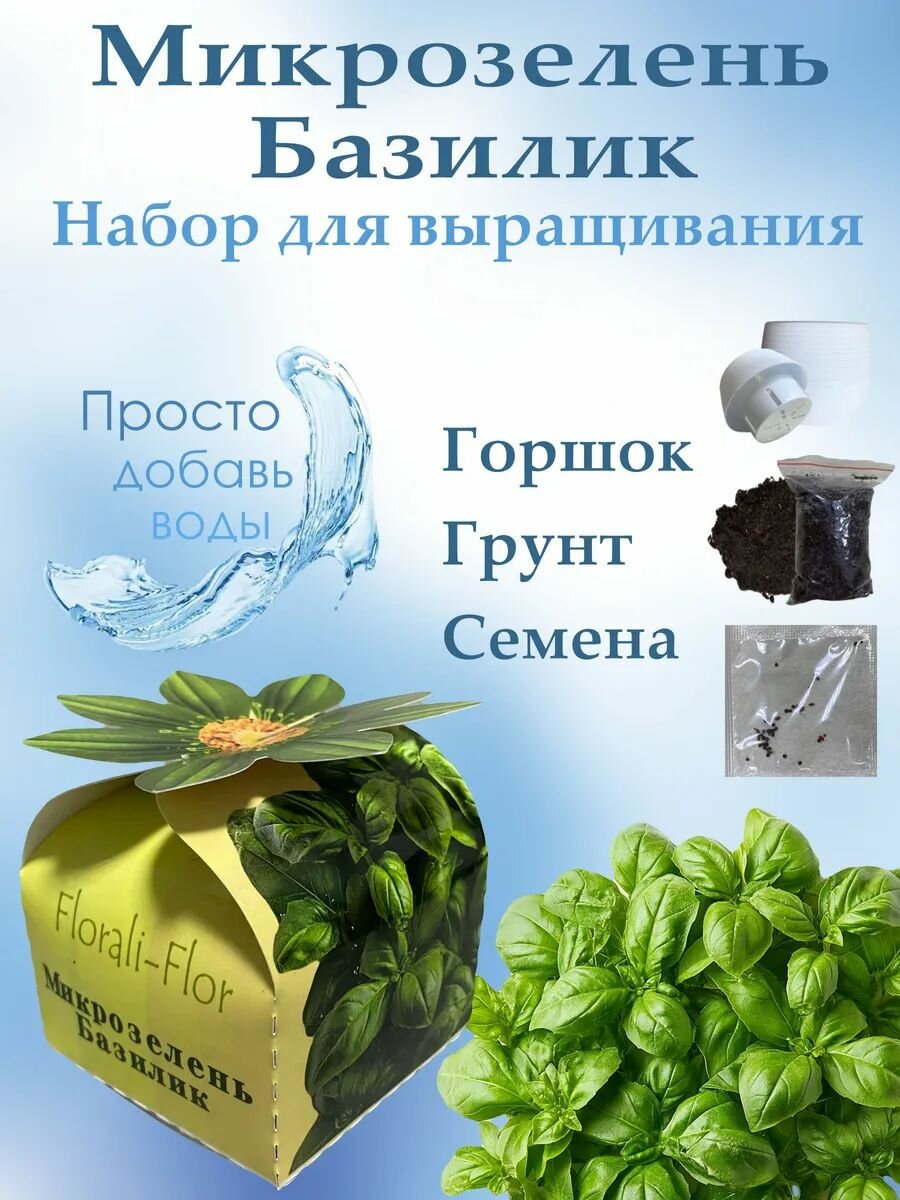 Набор для выращивания микрозелень базилик