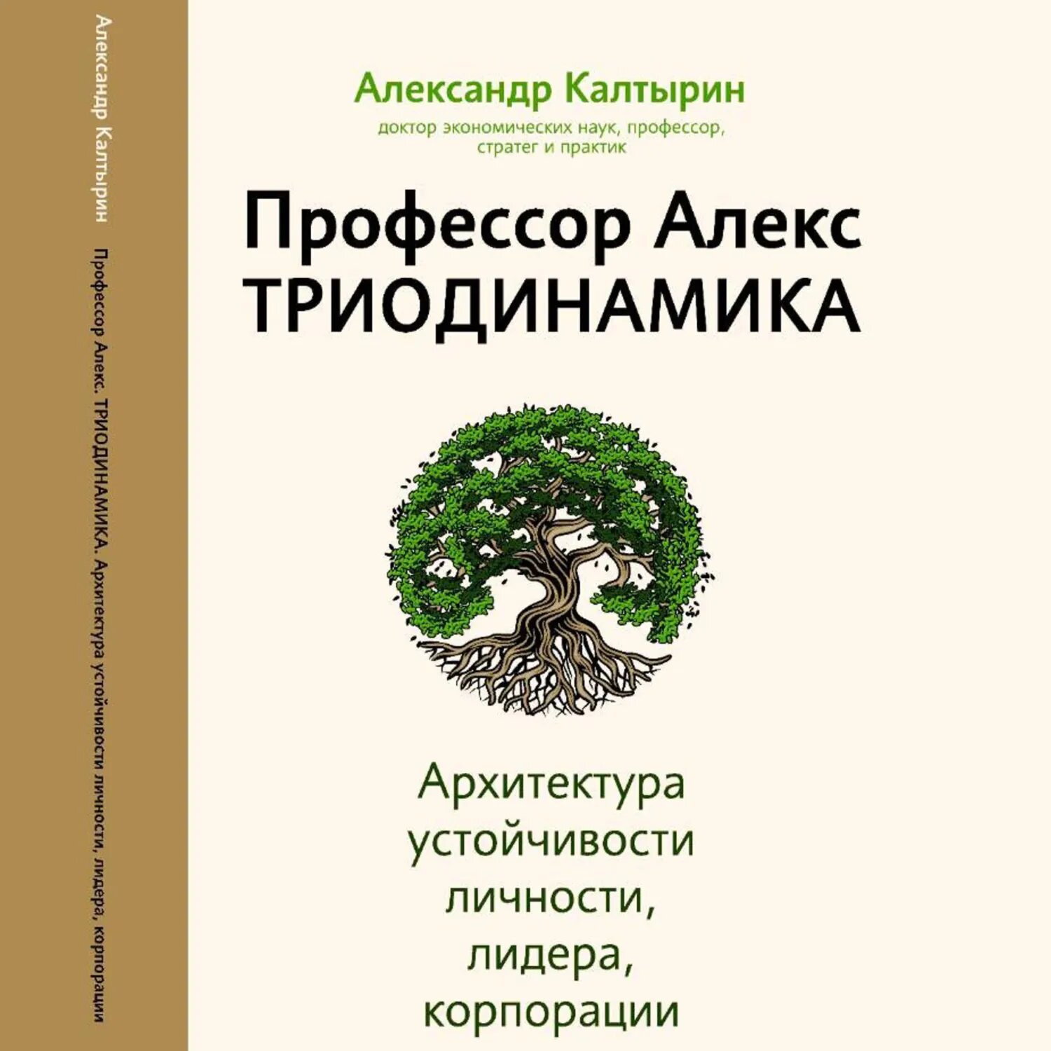 Профессор Алекс. Триодинамика. Архитектура устойчивости личности, лидера и корпорации [Аудиокнига]