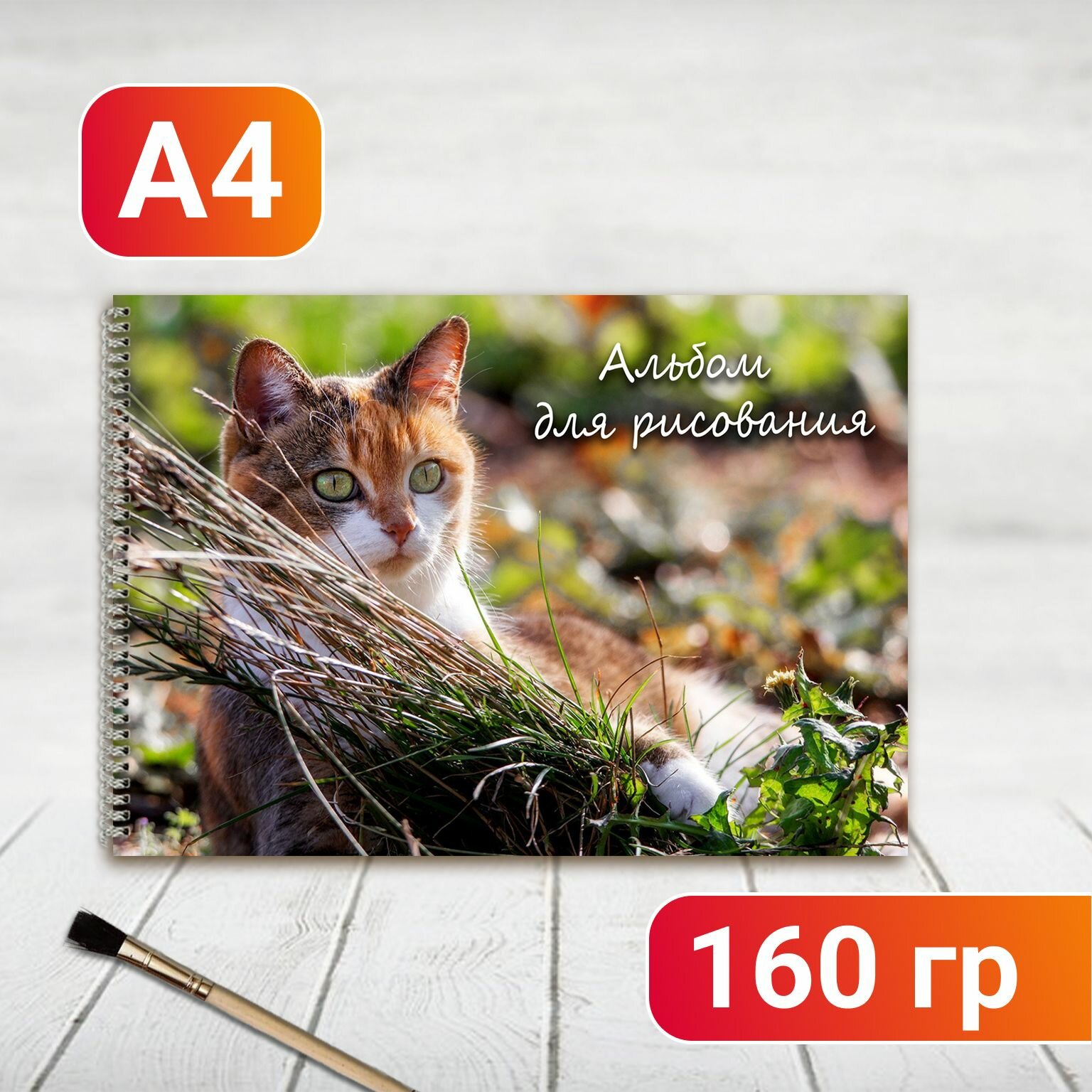 Альбом для рисования Котик