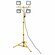 Прожектор на штативе FERON 4*50W 6400К 220V черный IP65, LL-506 4...