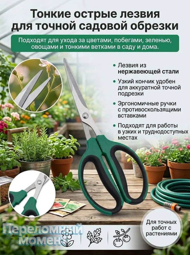 Сучкорез