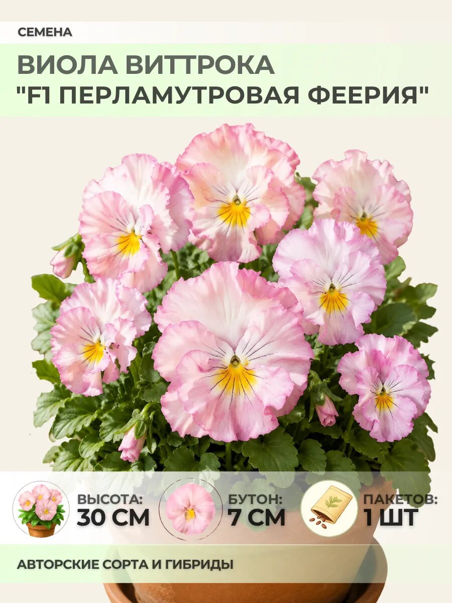 Виола "Перламутровая феерия" F1, махровые перламутрово-розовые цветки, изысканный сорт, 1 упаковка, 5 шт. семян.