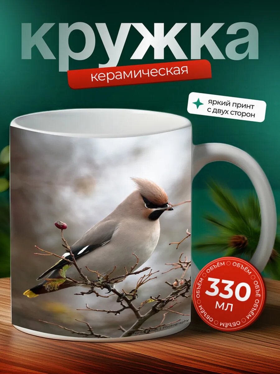 Кружка Сойка птица 17,