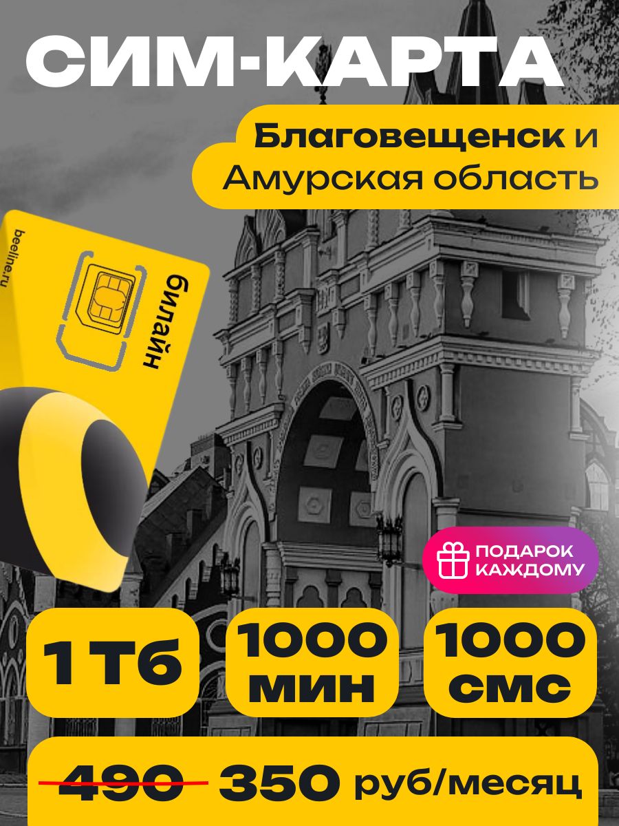 Сим-карта Билайн тариф Эксклюзивный Хит Амурская область 1000 Гб и 1000 минут за 350 руб.