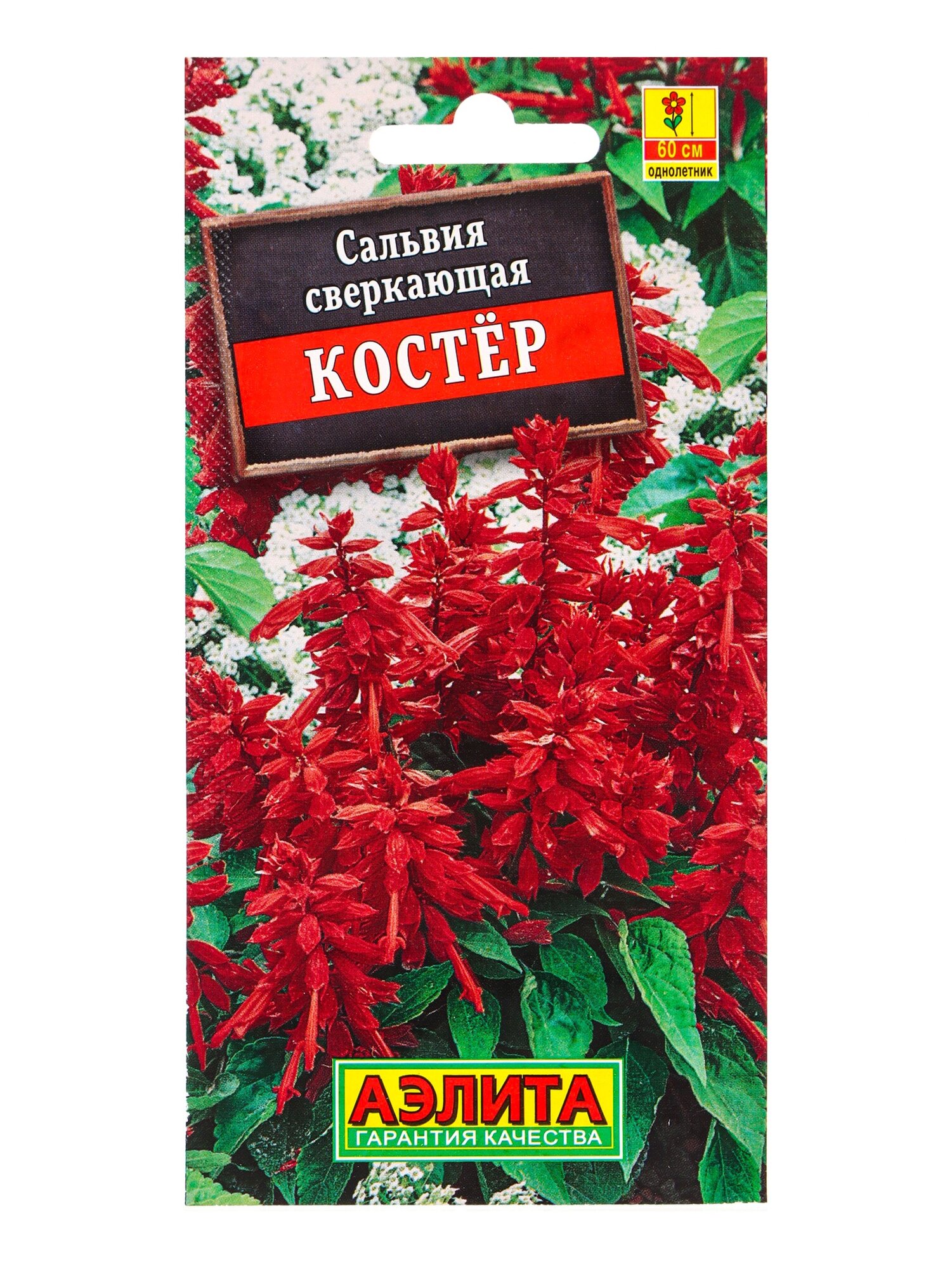Сальвия «Костер», семена цветов, 0.1 г, «аэлита»
