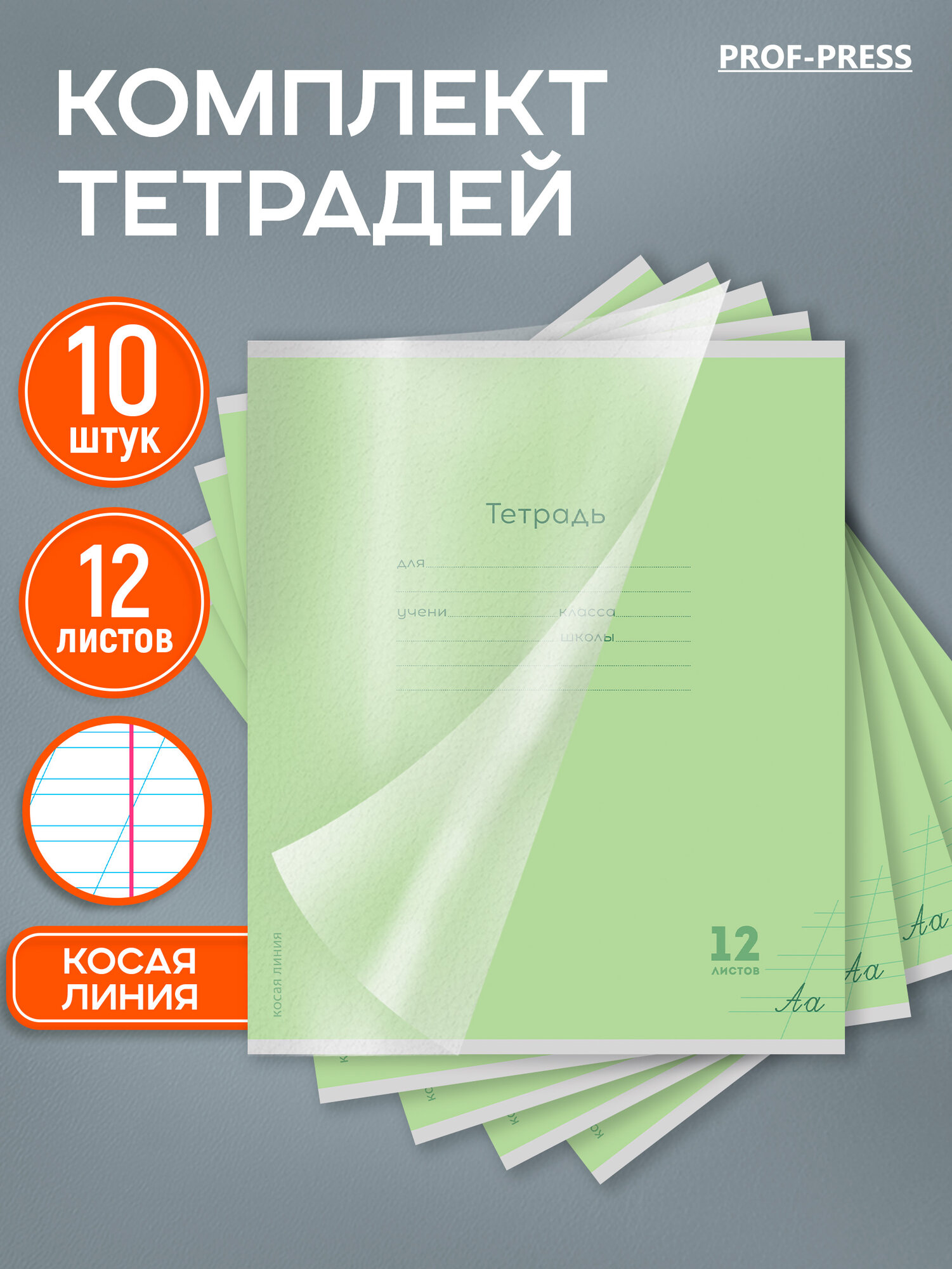 Тетрадь в косую линейку 12 листов с пластиковой обложкой