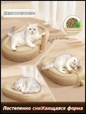Cat Scratching Post wave — фото 1