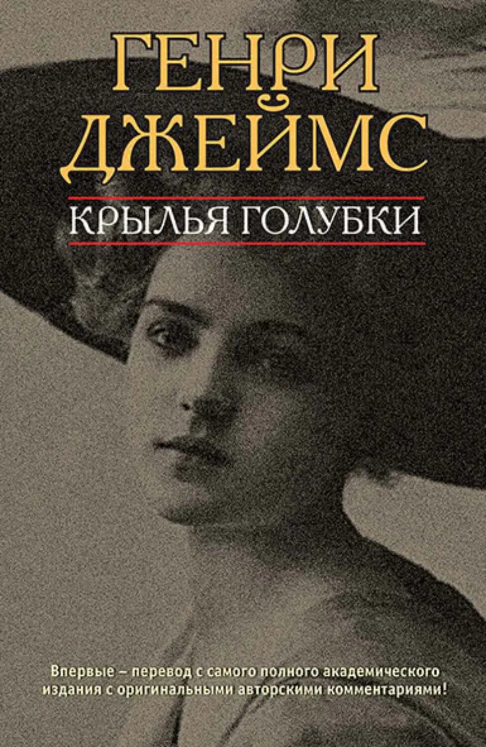 Крылья голубки [Цифровая книга]